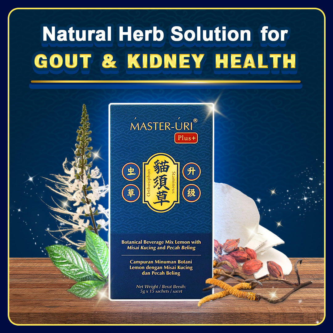 Master Uri – MasterUri